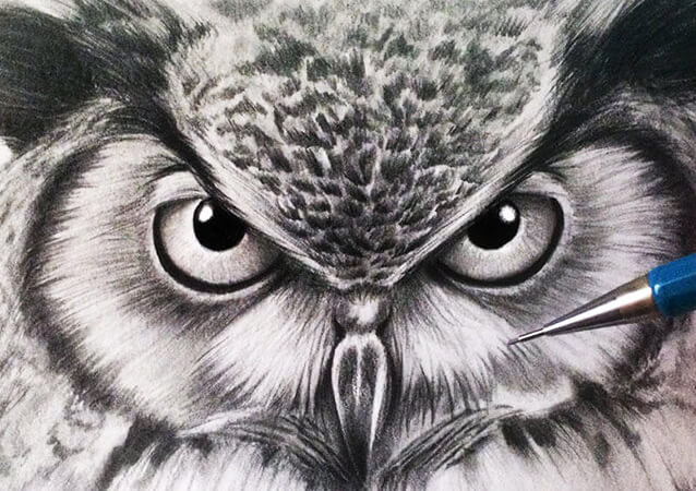 Learn to Draw Realistically: Wildlife - One River School Larchmont